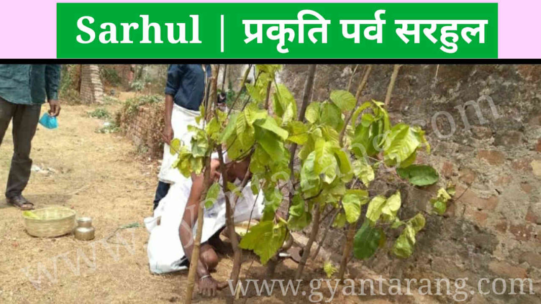 सरहुल | Sarhul | प्रकृति पर्व सरहुल | सरहुल कब और क्यों मनाया जाता है ...